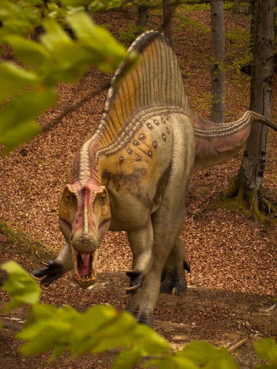 Spinosaurus: șopârla cu spini - Dino Parc Râșnov