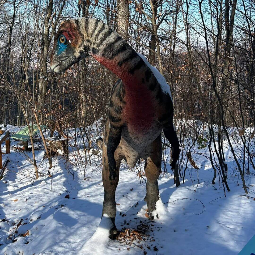Dinozauri descoperiți în România pe care-i poți vedea la Dino Parc ...